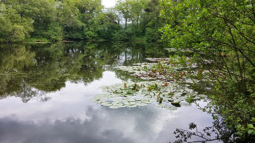 Glamorgan Anglers Club